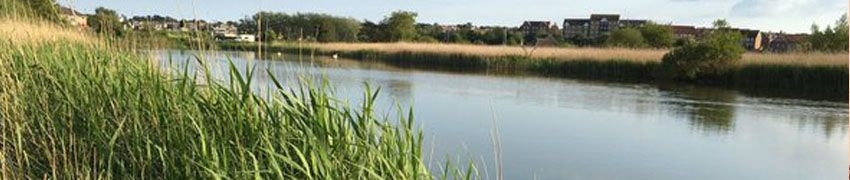 Radipole Lake RSPB Nature Reserve